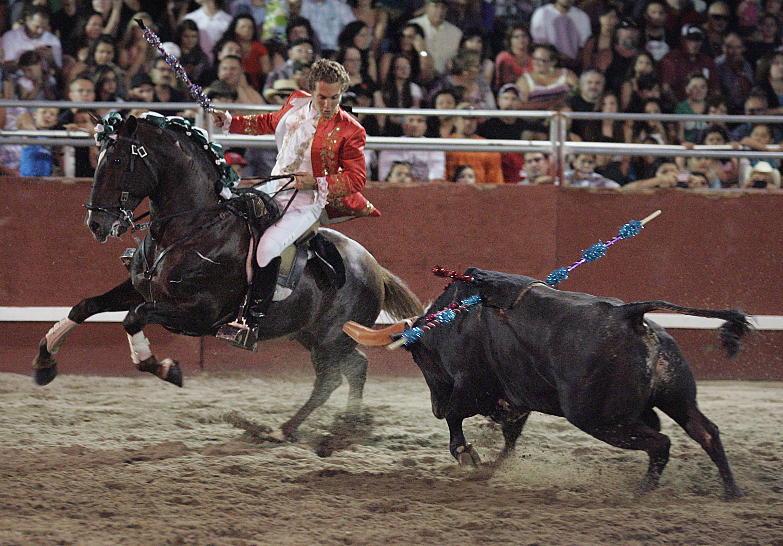 Snapshots: Raging bull