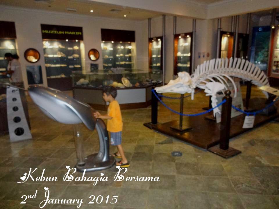 Kebun Bahagia Bersama: Akuarium dan Muzium Institut Penyelidikan Marin ...