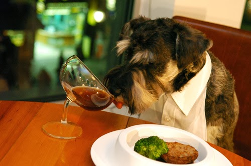 QUE! Noticia!: Abren un restaurante para los perros