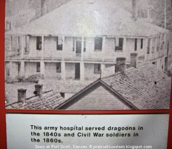 Prairie Bluestem: Photos from Fort Scott National Historic Site