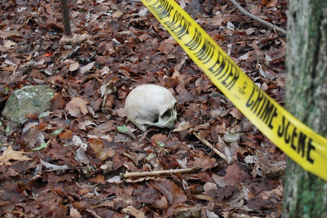 Body Farm, le lieu ou l'on observe les cadavres mourir ~ Général Kulture!