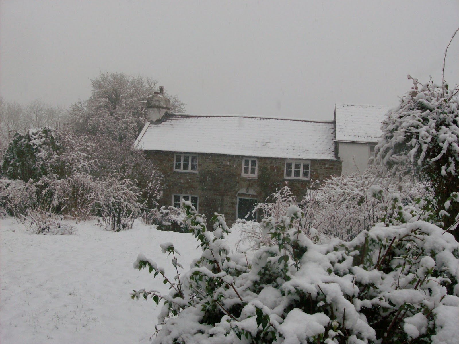 Pauline Barclay : Siting Round my Pool, Helen Hollick and Peggy Stanton
