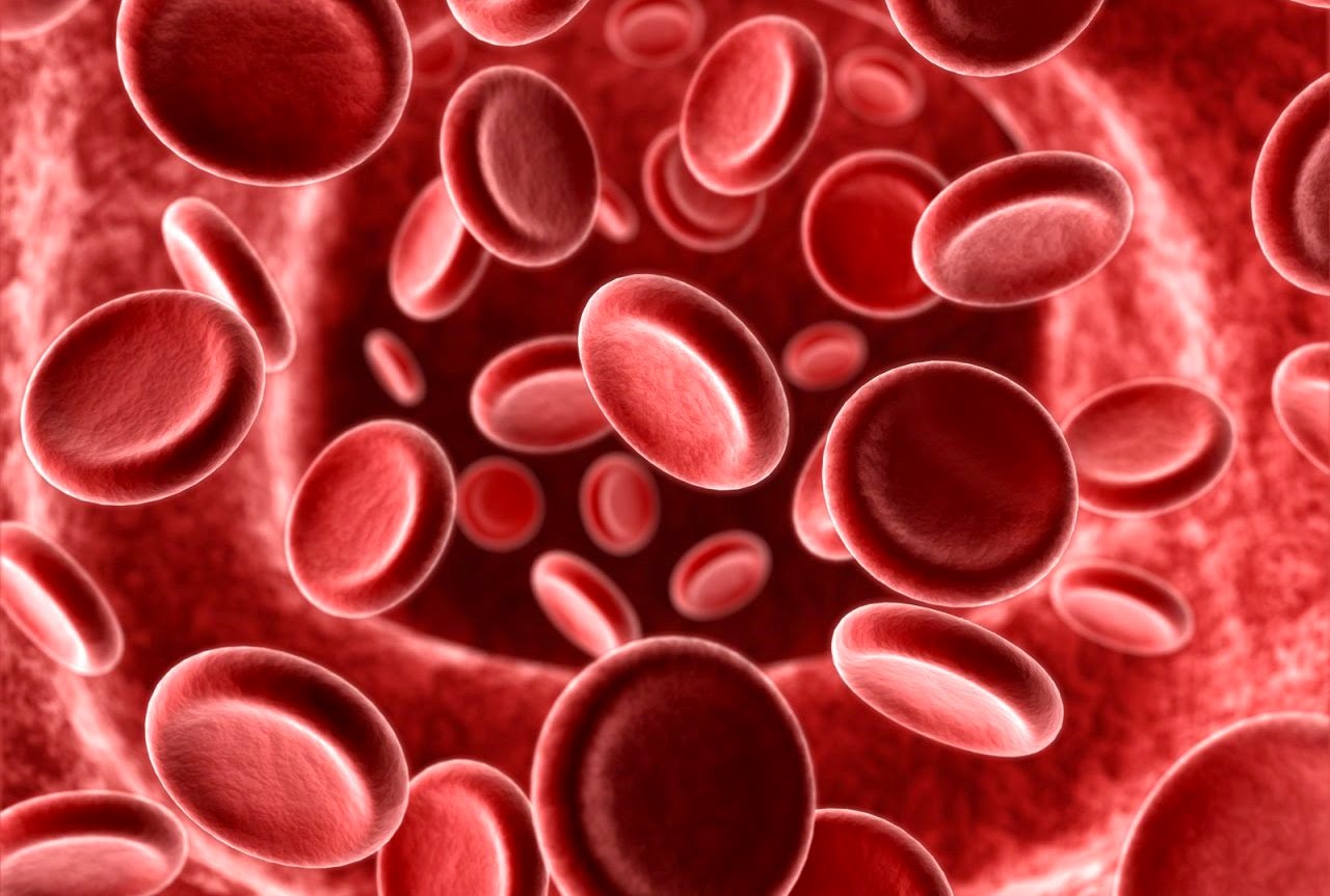 curiosidadesdamedicina: Por que o sangue é vermelho?