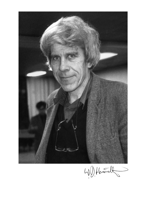 Evolución y Neurociencias: William Donald Hamilton