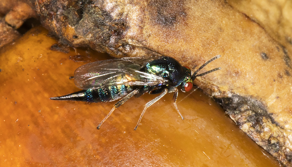 Naturally: September 2015