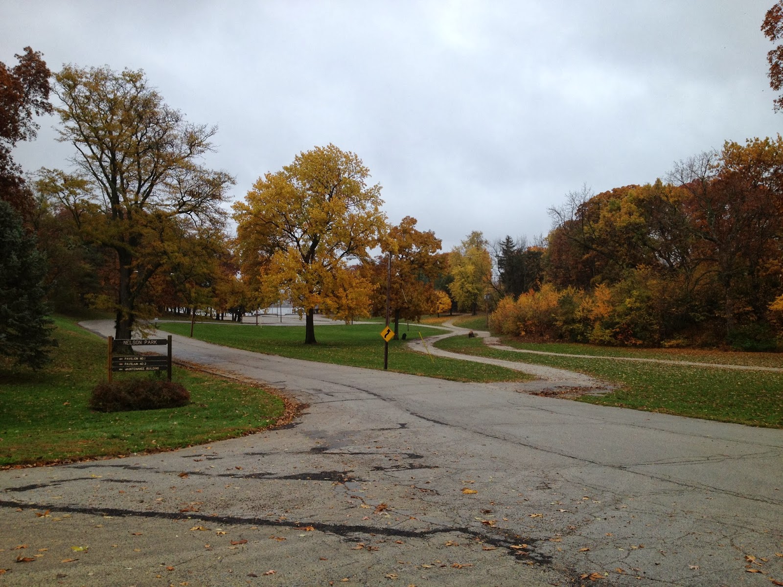 Nelson Park Fall 2013