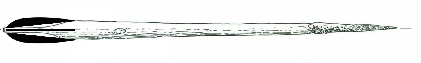 Tastes Of History: Dionysios' Polybolos