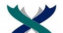 Gaji Ketua dan Anggota Dewan Jaminan Sosial Nasional (DJSN), Jangan ...