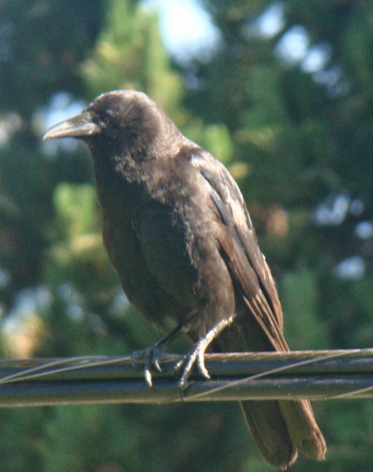 Surprised by Time: October 2013