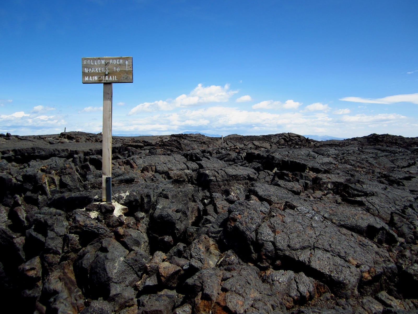 ChirpinBirdie: Adventure of the Traveling Wiener