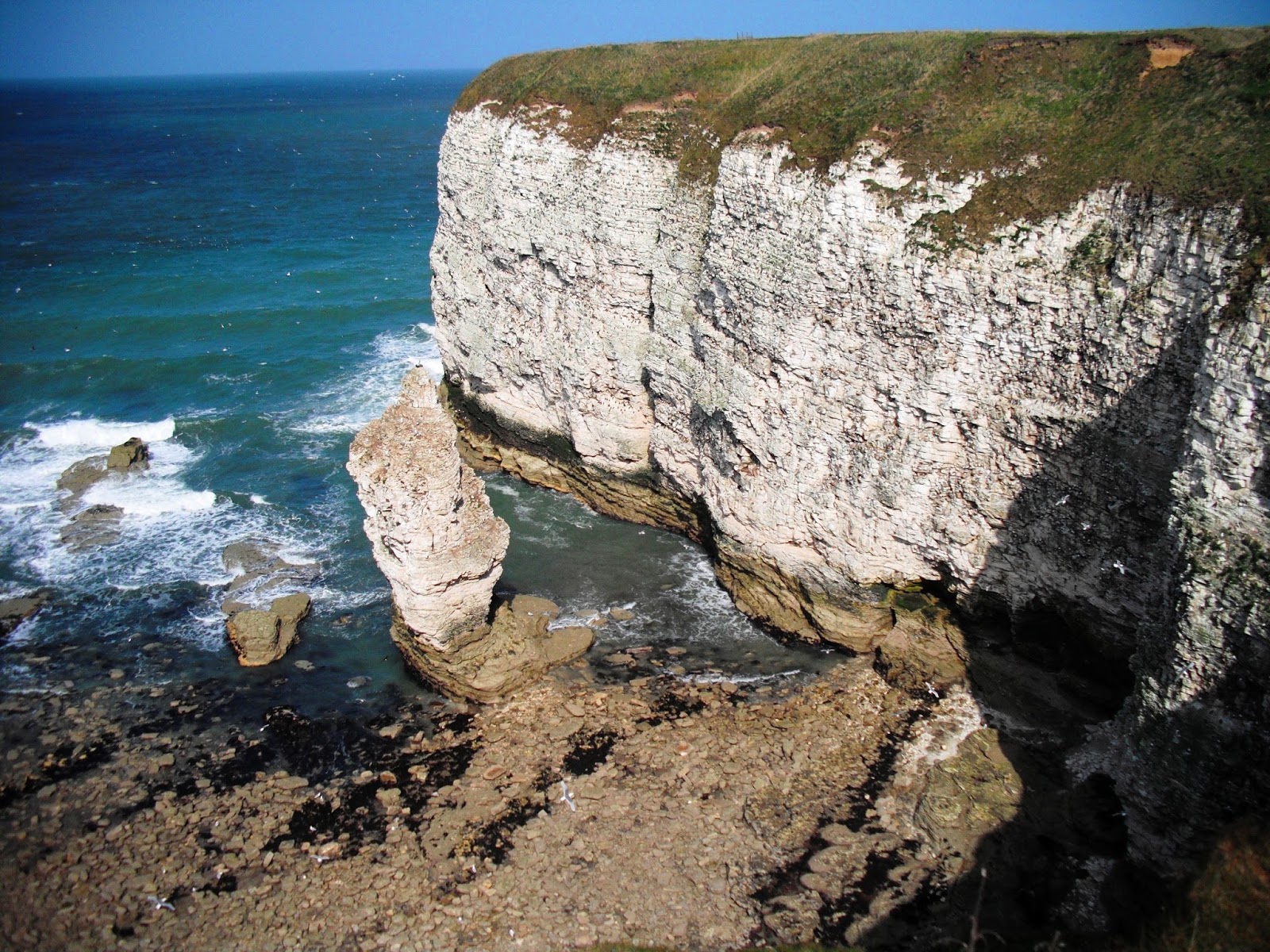 Love my life: A walk from Flamborough Head back to Sewerby.