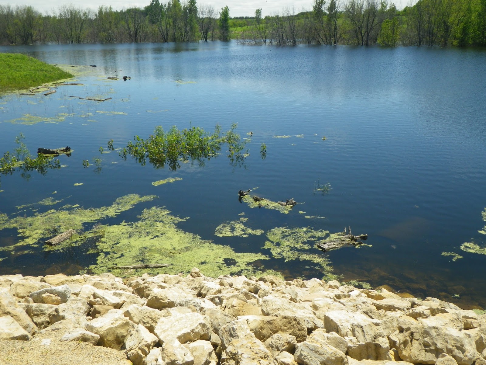 The Lost Grove Lake Mapping Project: It's Getting Closer To Full