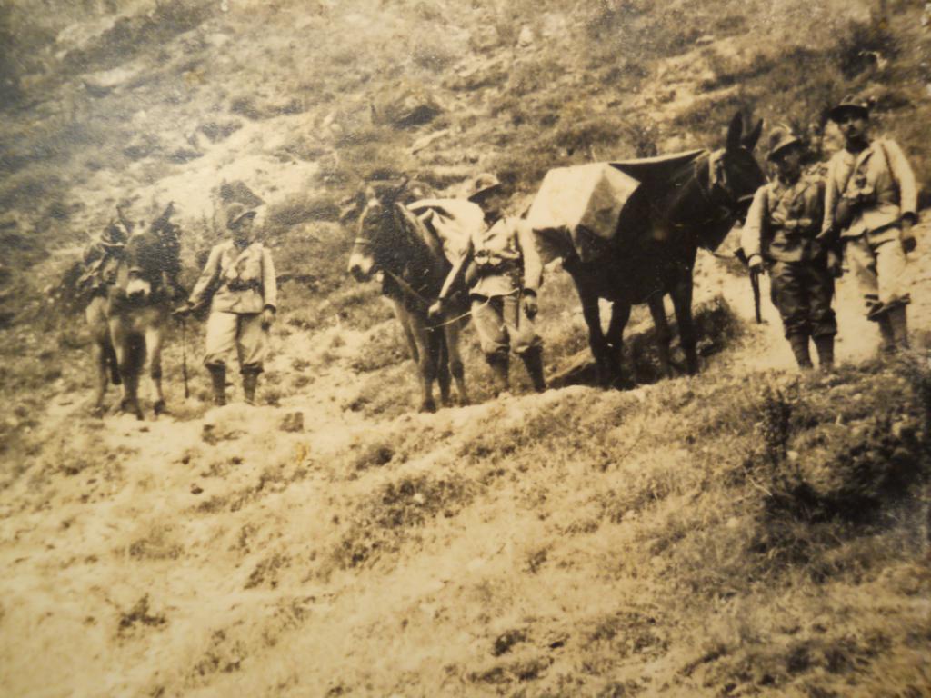 WW2 Militaria Collection: Italian ww2 Alpini soldiers 7x photographs ...