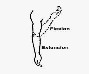 lupita pardosi: Gerakan ROM (Range Of Motion) , Nursing :)