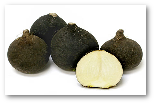 Ridichea neagra de la A la Z | Medicina informativa