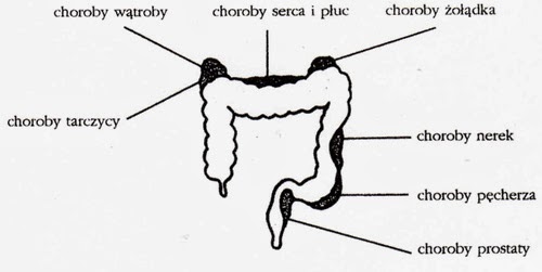 UZDROWICIELE BIOTERAPIA AKUPRESURA ZIOŁOLECZNICTWO EGZORCYZMY ...