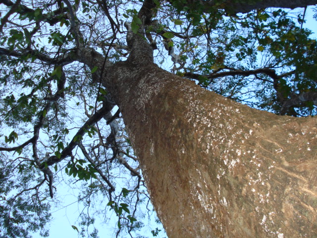 ECOSISTEMAS DE COSTA RICA: PARQUE NACIONAL BARRA HONDA