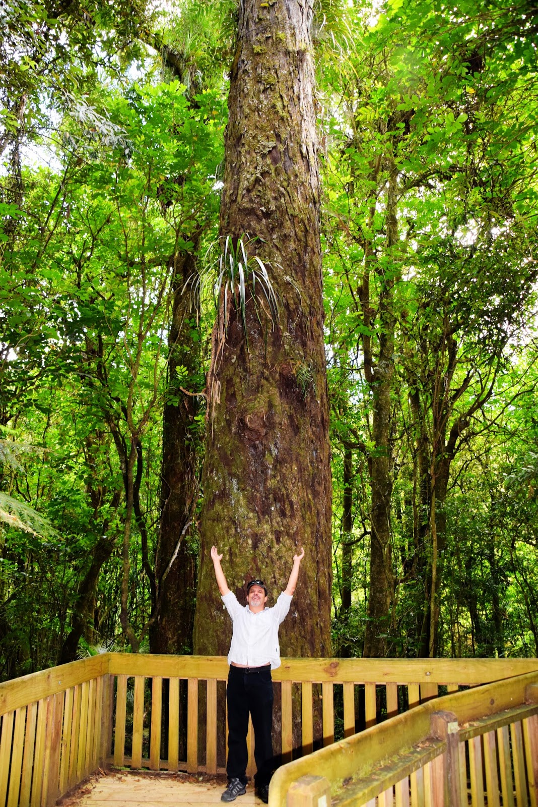 Love and Happiness: Mount Pirongia, New Zealand