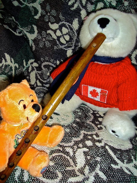 SATW Canada Travelling Teddy Bear Blog: Bella Bella at the MIM