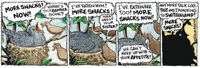 The Plashing Vole: Bring on the Penguins