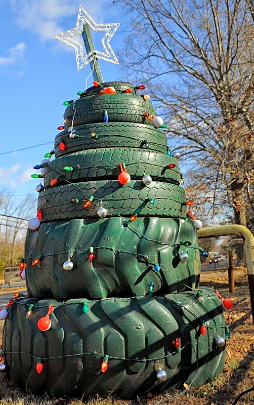 Mexico Mistletoe: Wondrous Weird Christmas Trees