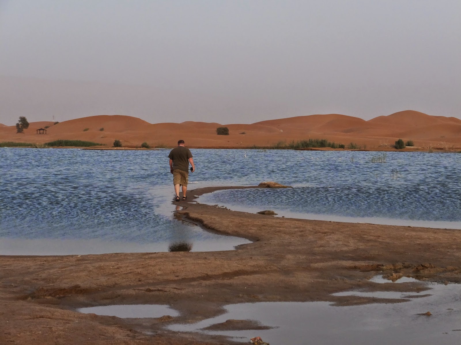 Adventures in Home Education: Zakher Lake and Jebel Hafeet at Night