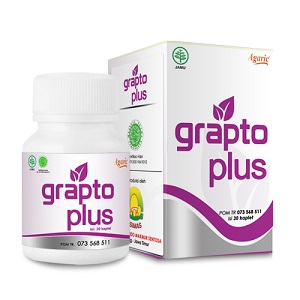 GRAPTO PLUS: Grapto Plus