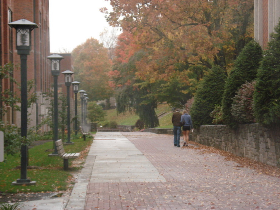 With a Side of Chocolate: Boonetown.