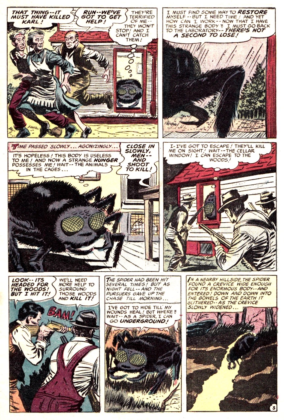 THE HORRORS OF IT ALL: Vampire Spider