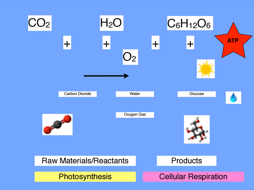 7th Grade Science 2014-2015: Chemical Formulas Notes and Interactive