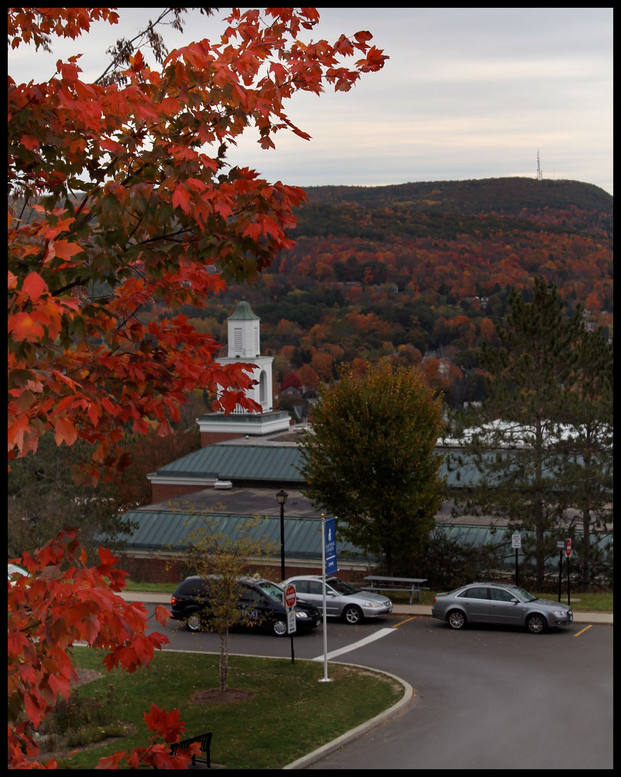 Michaela Shipman- Digital Artist and Photographer: Hartwick During Fall