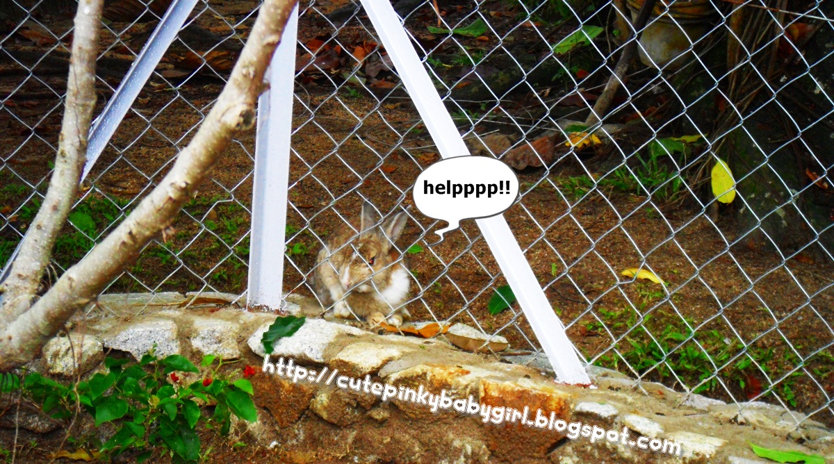 ♥ SiGadisMerahJambu ♥: Mini Zoo Kuantan, Pahang :)