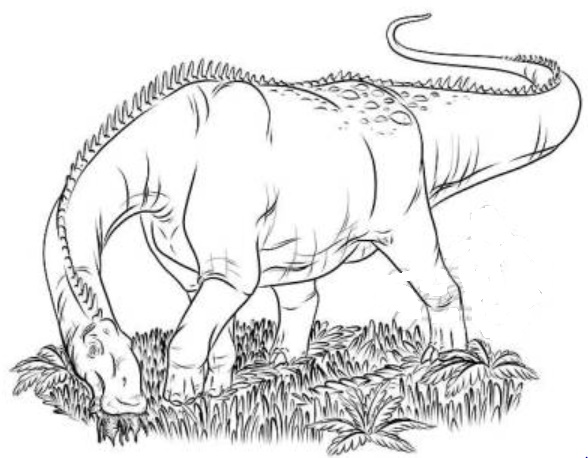 Blog de Geografia: Nigersaurus - Desenho para Imprimir e Colorir