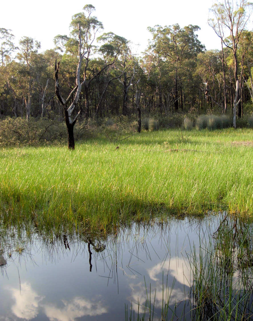 Mount Portal Lookout | Our Walks