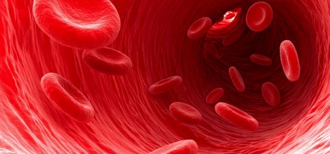 Hématologie - laboratoire