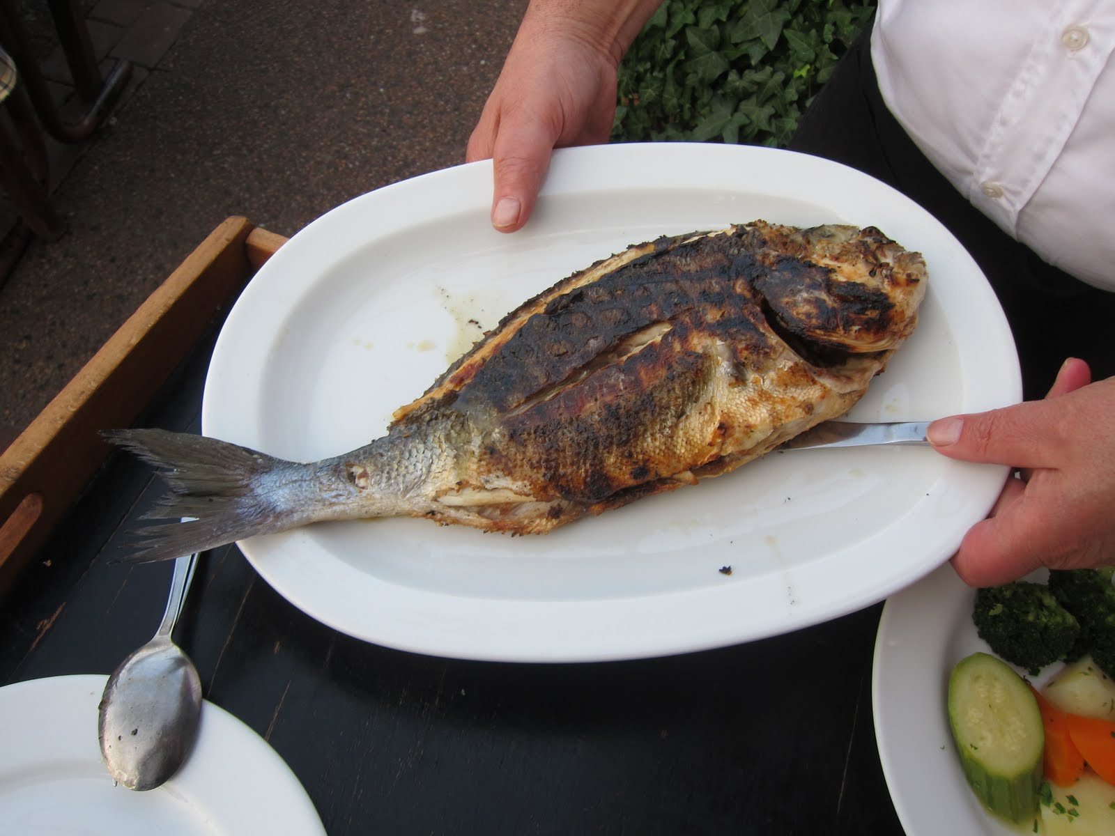 In and Around Town: Wrap-up of Greece with Athens!