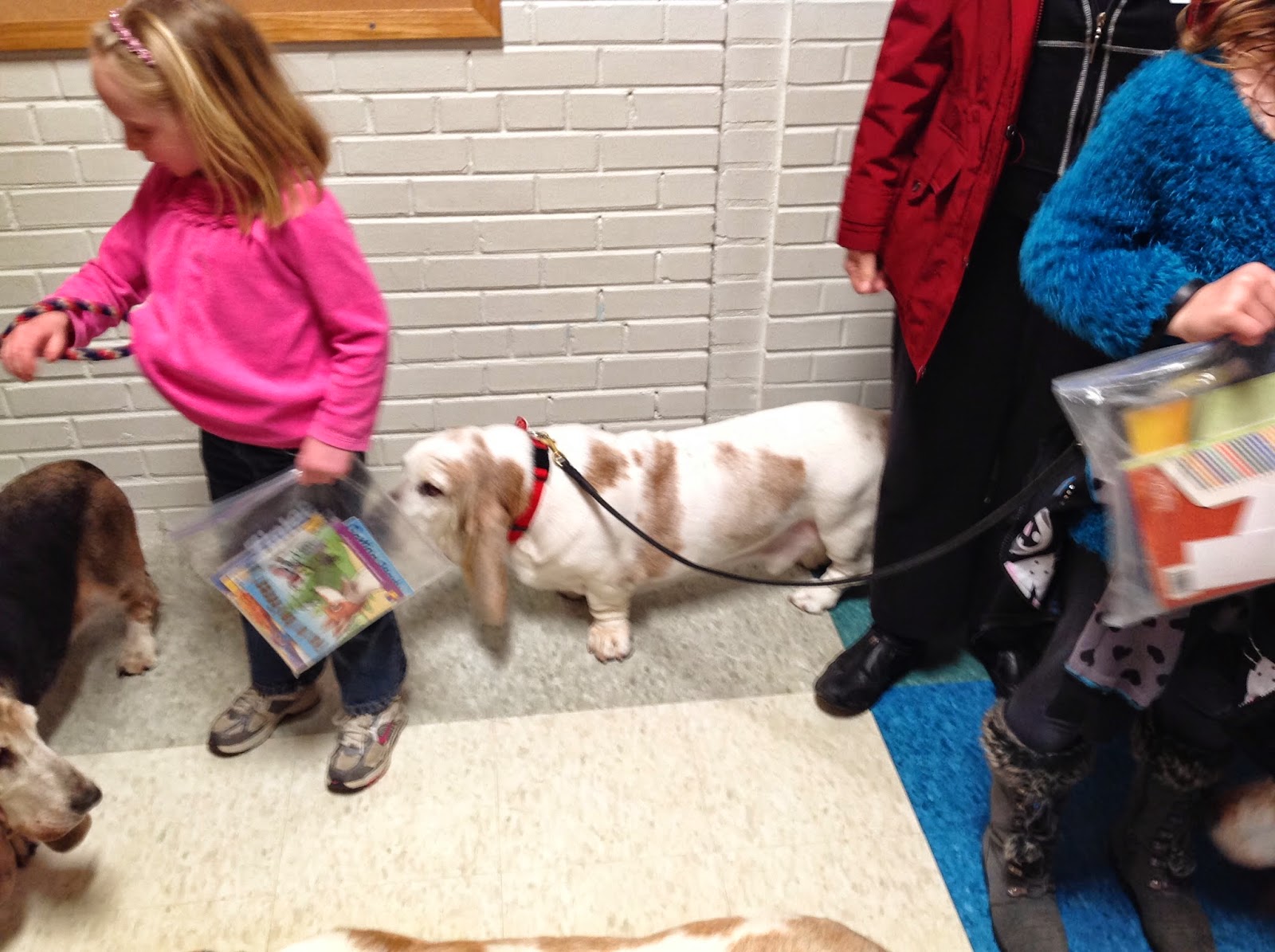 Mrs. Harmann's Kindergarten Blog: Our Reading Basset Hound Service Dogs
