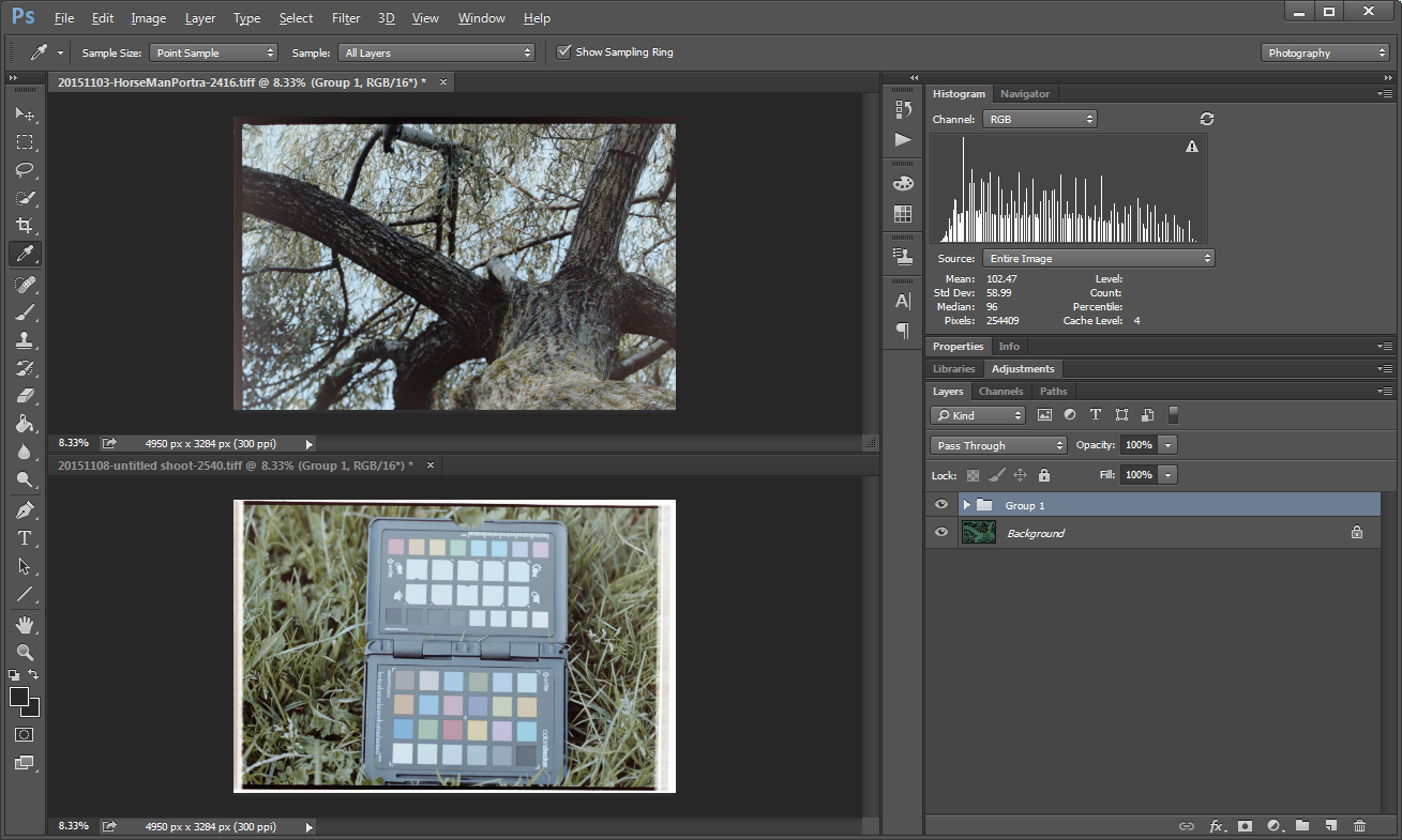 Matt's Photography Tips: Color Negative Film Processing Using Photoshop