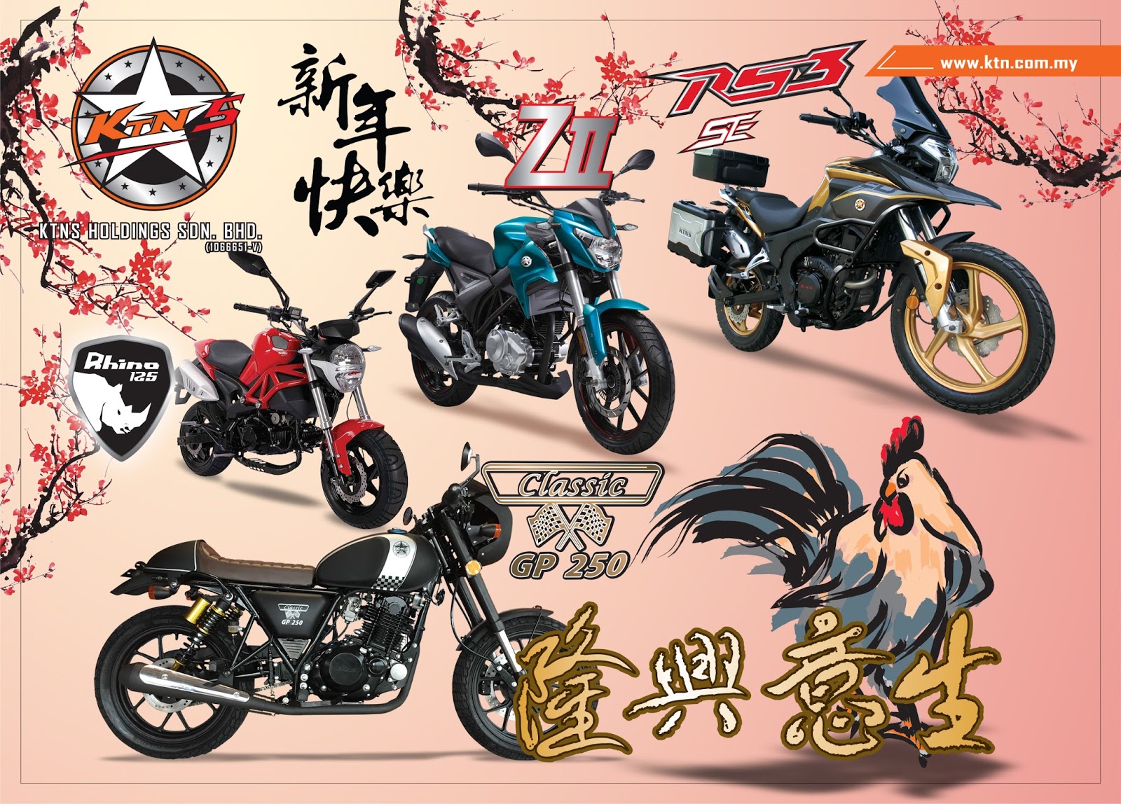 Ray Superbike: KTN Z II 200