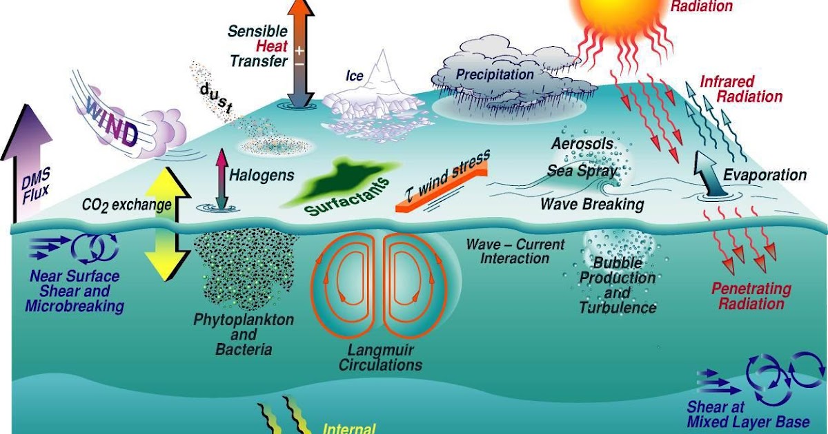 EHSQ (Environment,Health,Safety and Quality) : What effects does the ...
