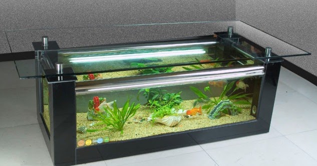 Planning to buy a Fish tank aquarium ,How to choose right size ? ~ Home ...