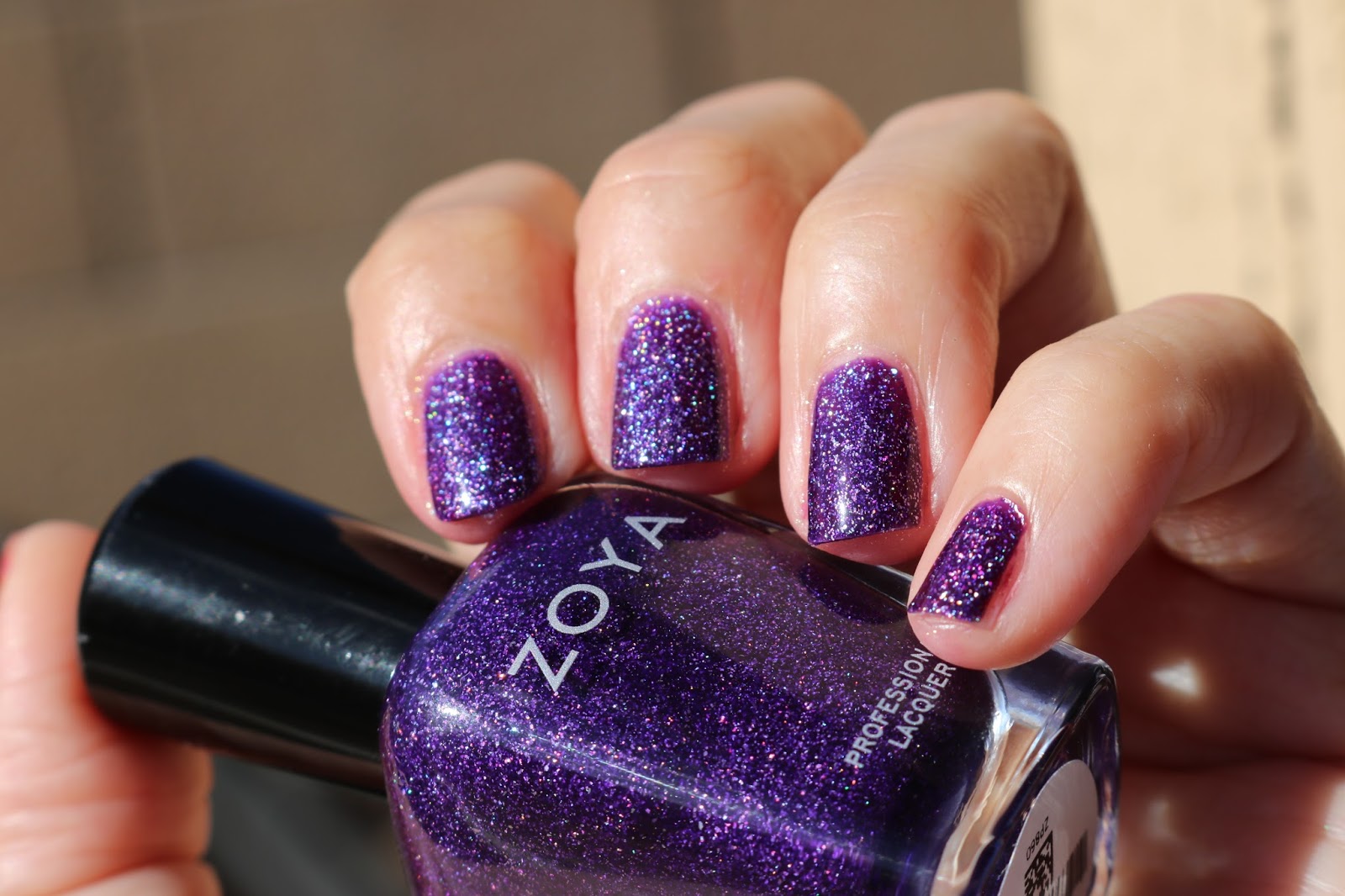 Zoya Fall 2016 Urban Grunge Swatches, Video Review - The Shades Of U