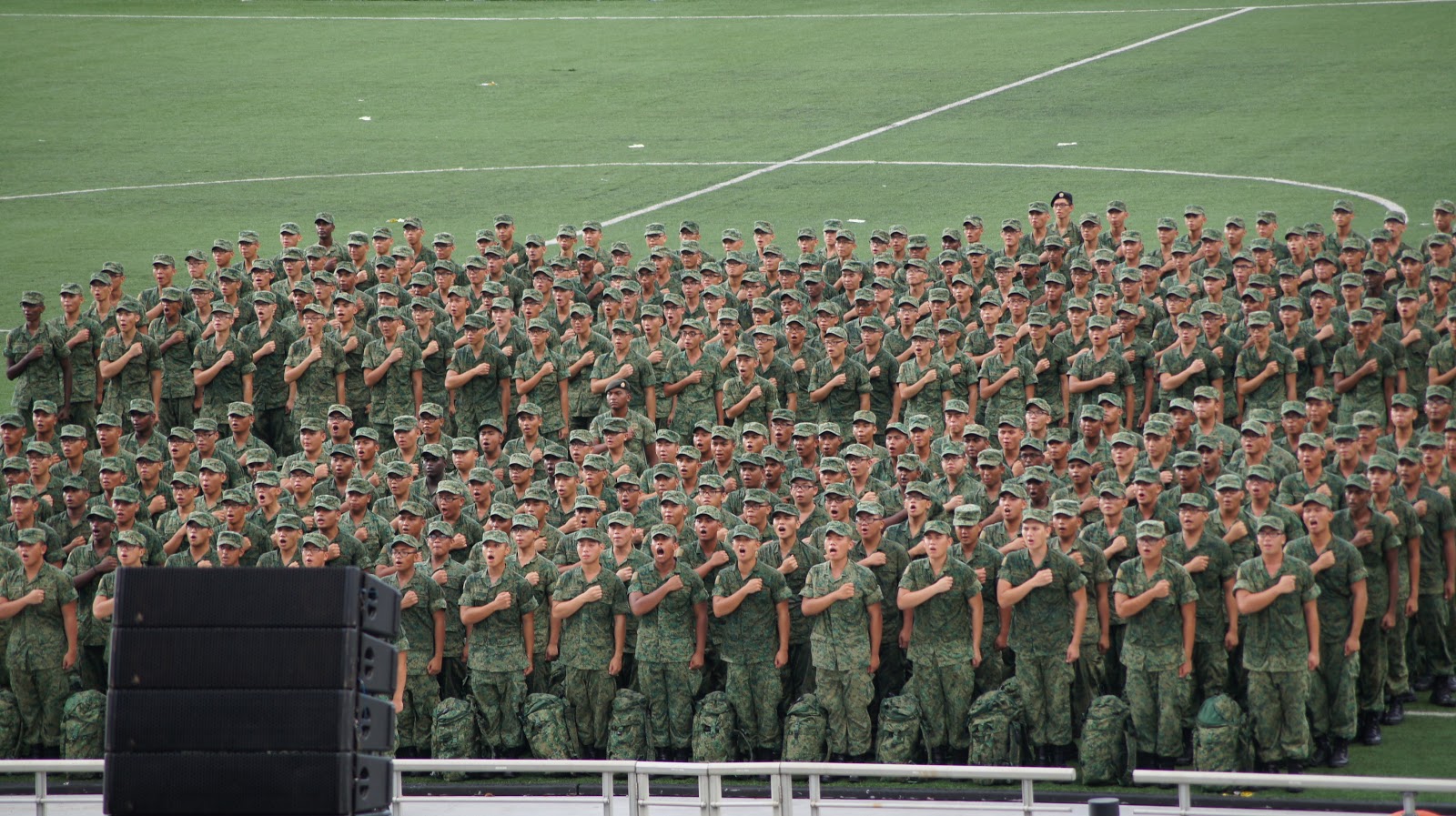 Notes by Foxbat: The NS Experience