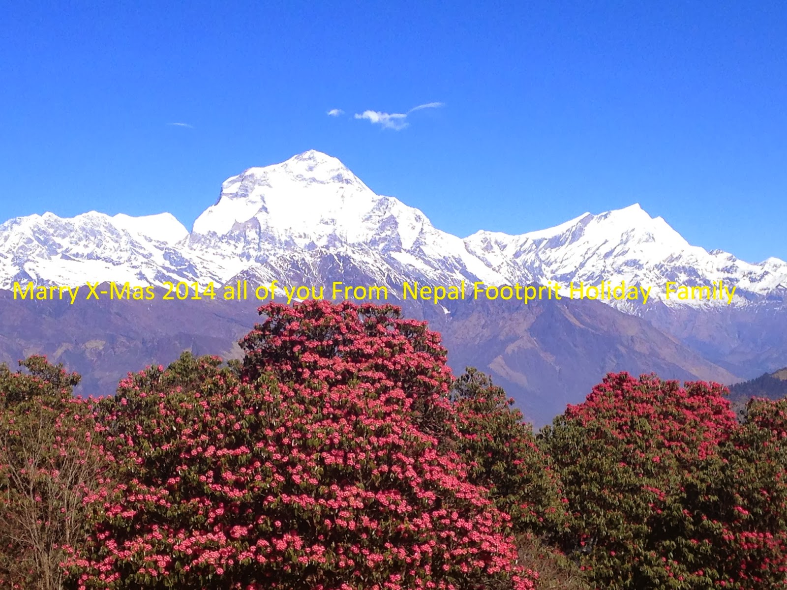 Poonhill Trek - 5 days in Annapurna Loop in Nepal