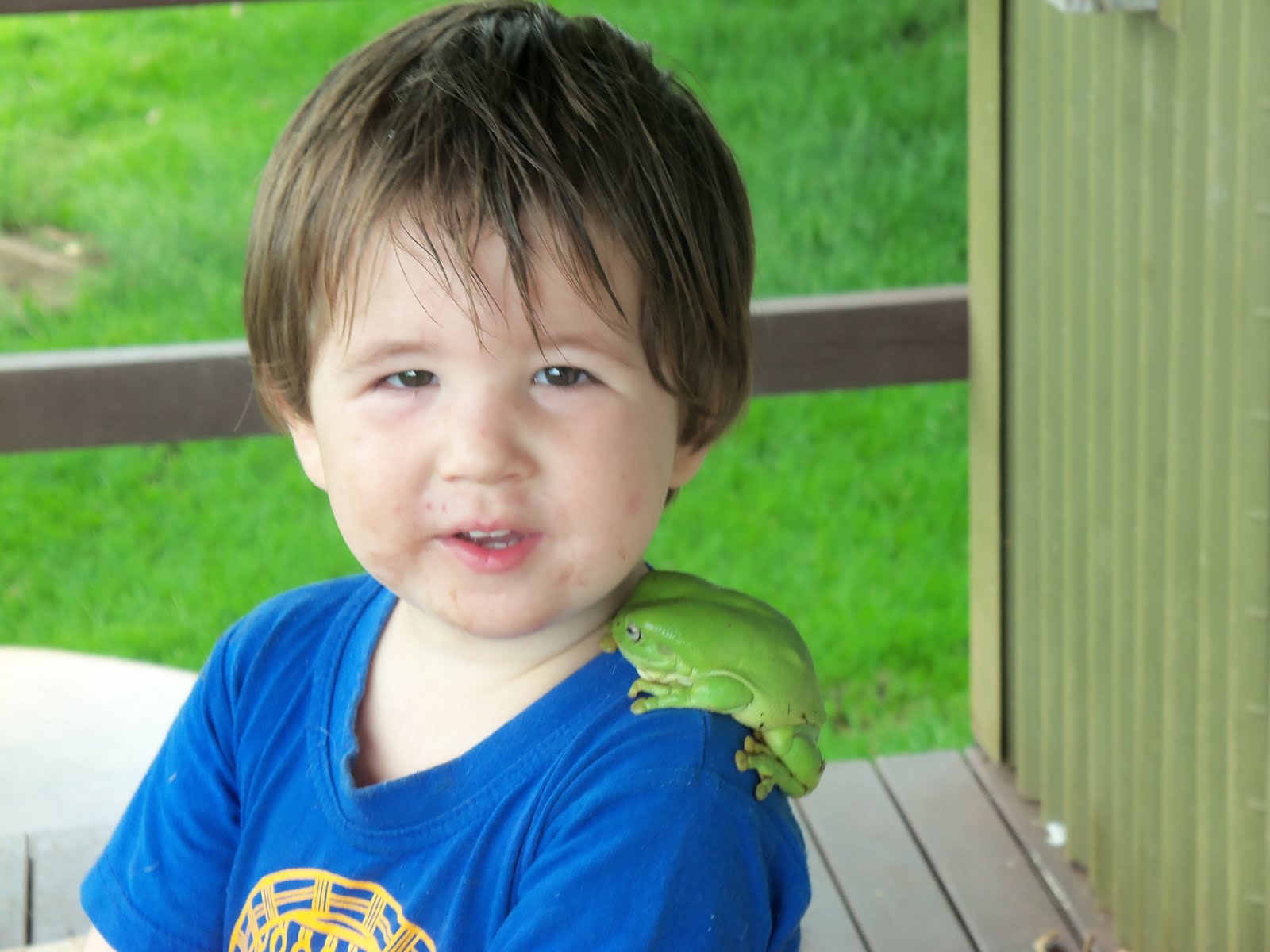The Mullet Family: Haircuts (and a frog, for good measure!)