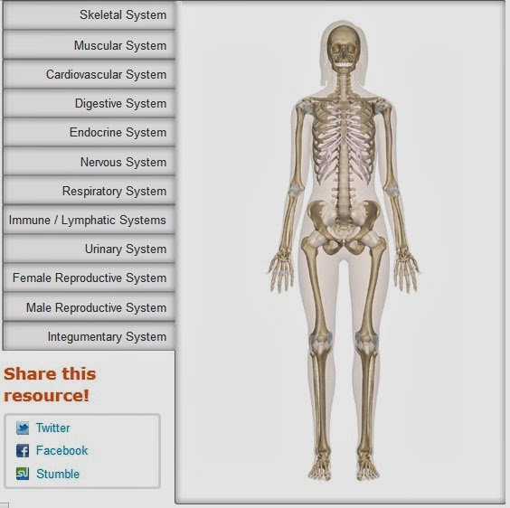 Cara Mudah Belajar Anatomi Tubuh | GLADY CHANNEL