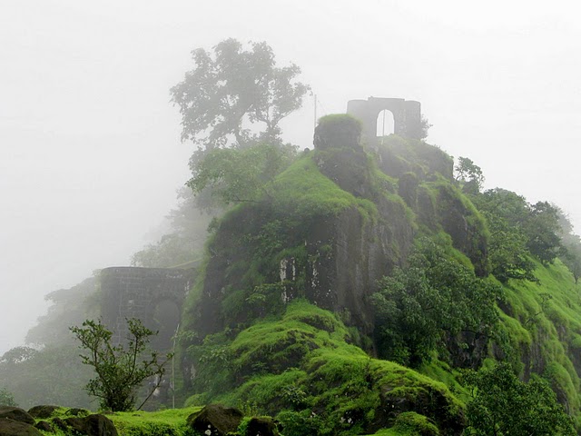 एका रानवेड्याची शोधयात्रा: 2011-04-17