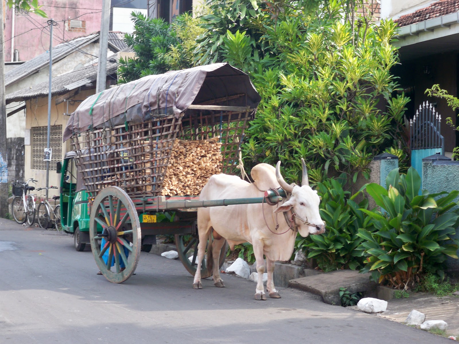 Sand and the City: A Day on the Negombo Lagoon