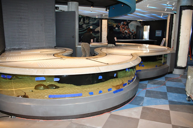 Stone Hill Farm: Touch Tank at the National Aquarium #LivingSeashore