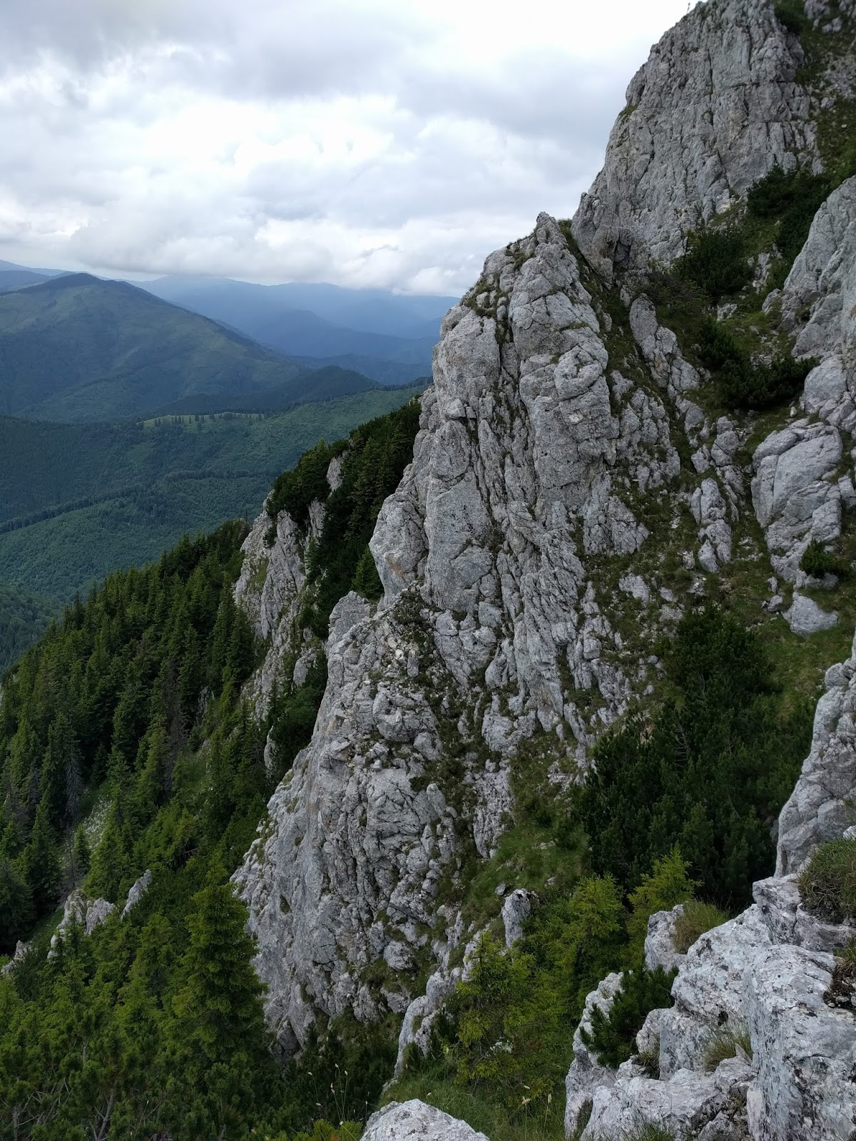Blog de Calatorii si Drumetii Montane.: Piatra Craiului(Pestera-Saua ...